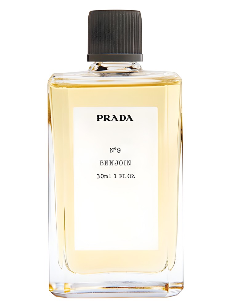 No9 Benjoin by Prada, Performance, Reviews & Scent Profile ...