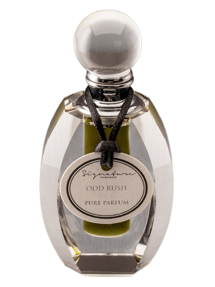 Odd Rush by Signature Fragrances, Performance, Reviews & Scent Profile ...